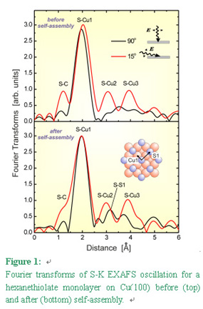 Molecular Self-Assembly Studied by XAFS
